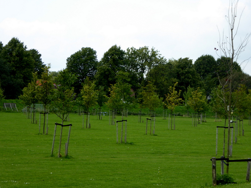 Annie M.G. Schmidt Park