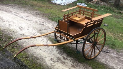 Pony Gig - Pets & Animals - Classifieds - Dordogne - Angloinfo